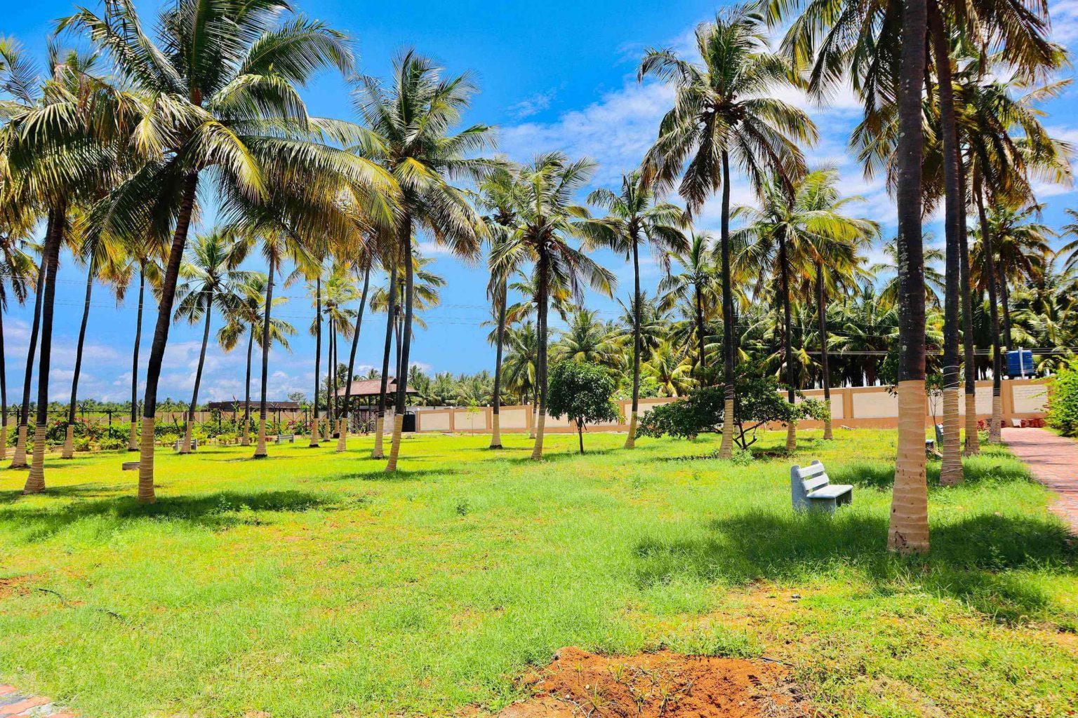 Royal Emperor - Royal Destiny Resort